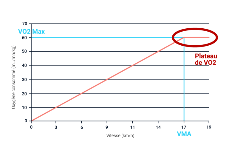 Qu'est-ce que la VMA ? (Vitesse Maximale Aérobie)